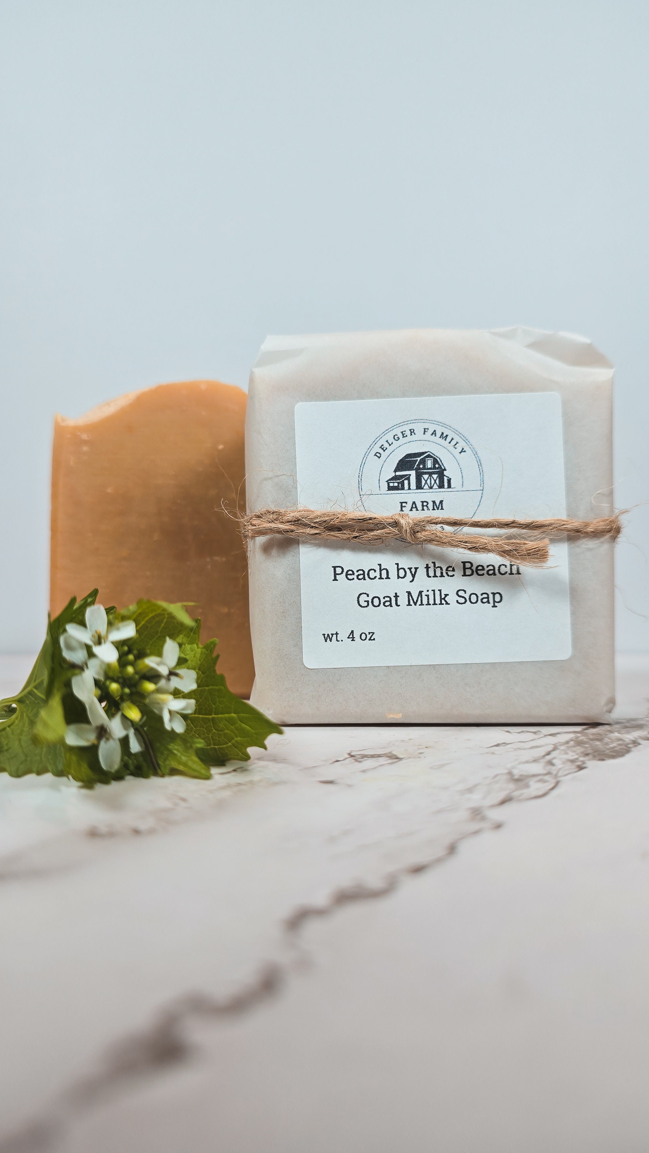 Peach by the Beach | Artisan Goat Milk Soap – Delger Family Farm